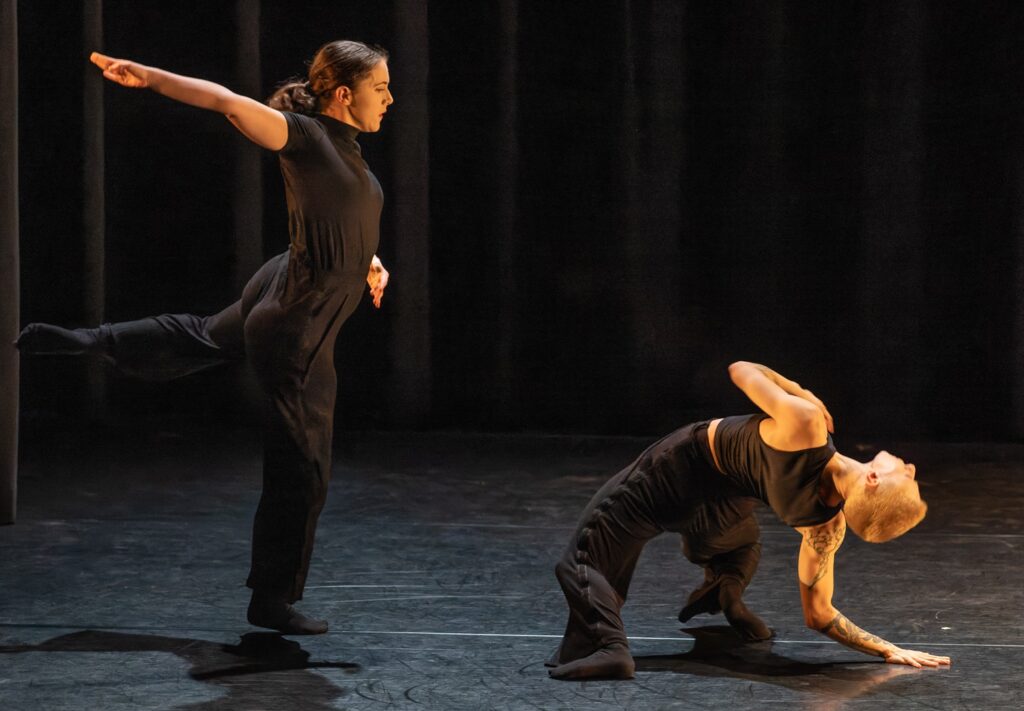 Event Details - Seattle International Dance Festival